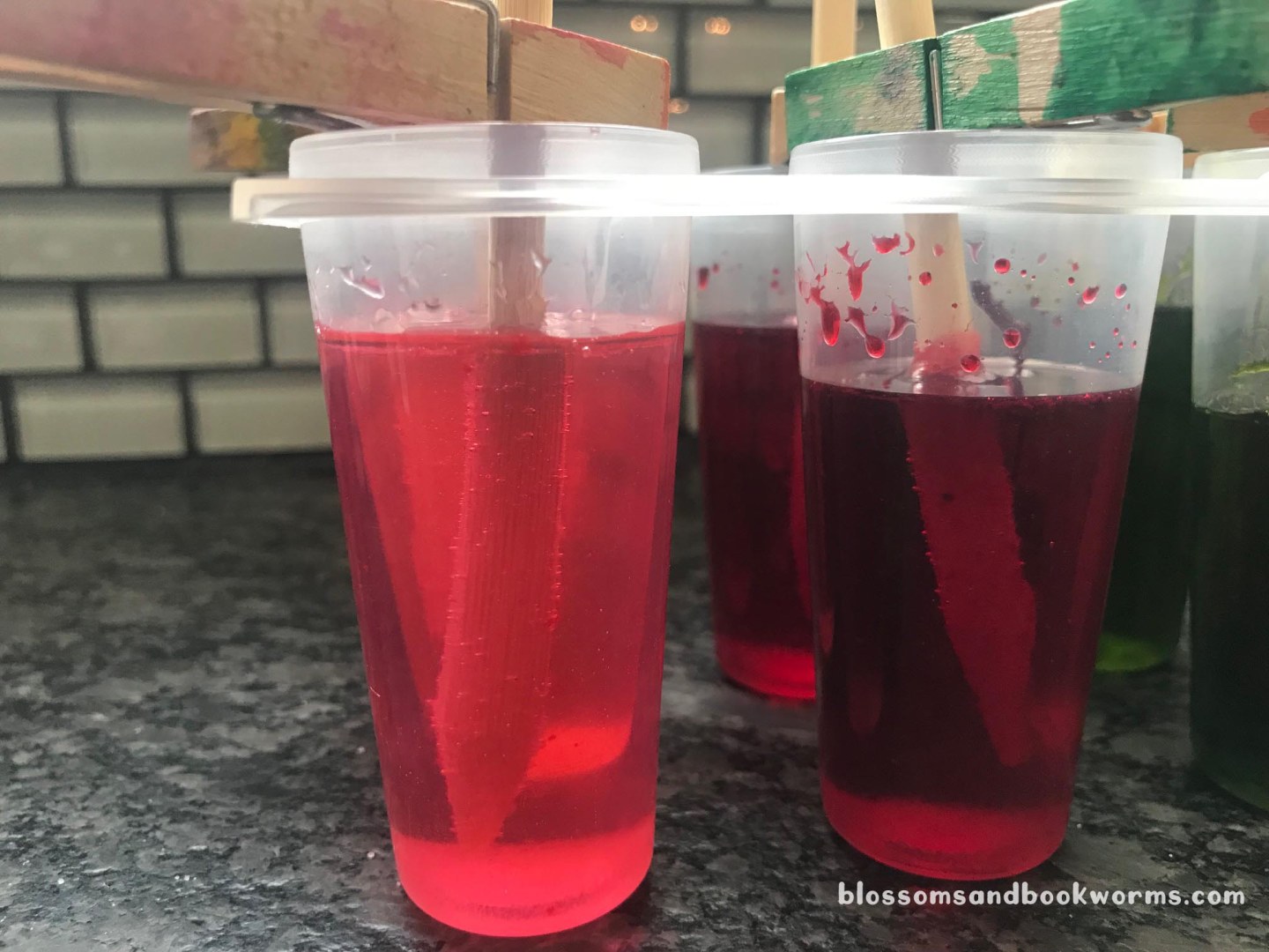 Growing Candy – Blossoms and Bookworms