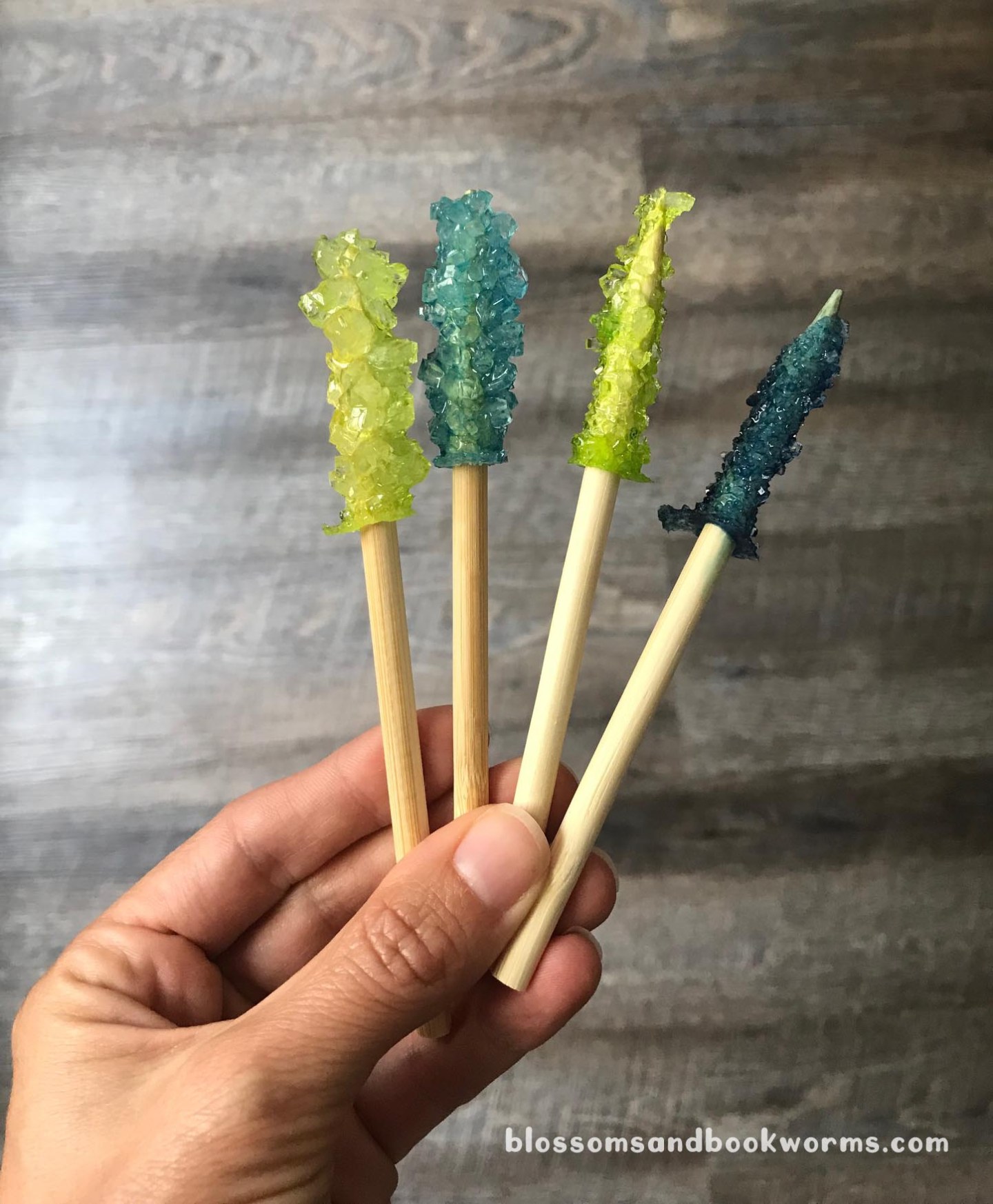 Growing Candy – Blossoms and Bookworms