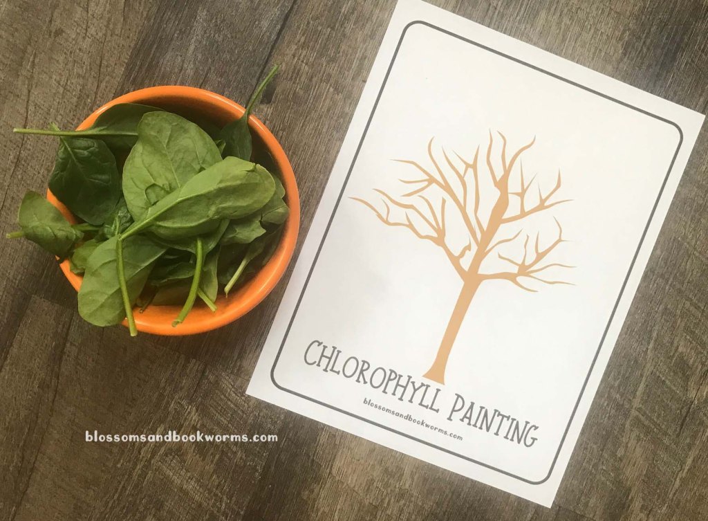 Chlorophyll Painting – Blossoms and Bookworms