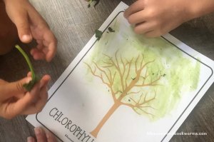 Chlorophyll Painting – Blossoms and Bookworms