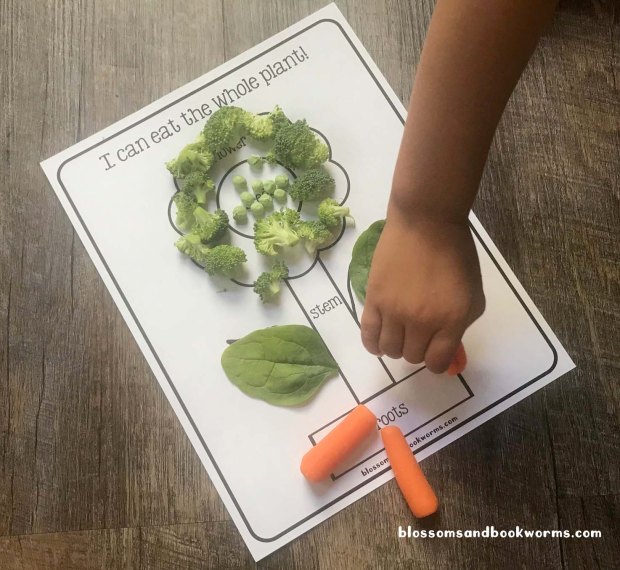 I can eat the whole plant! – Blossoms and Bookworms